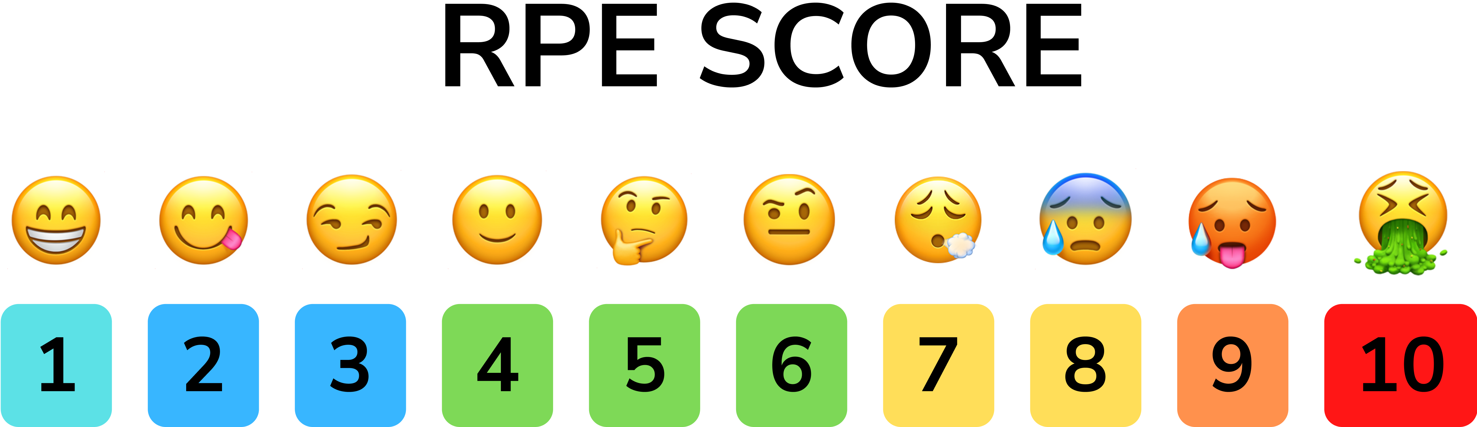 Walter Clayton | Exploring Technology, Conservation, and Sports Science